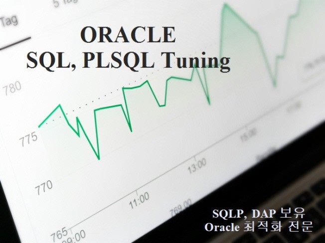 SQLP/DAP 보유 ORACLE SQL 튜닝전문가 - 크몽