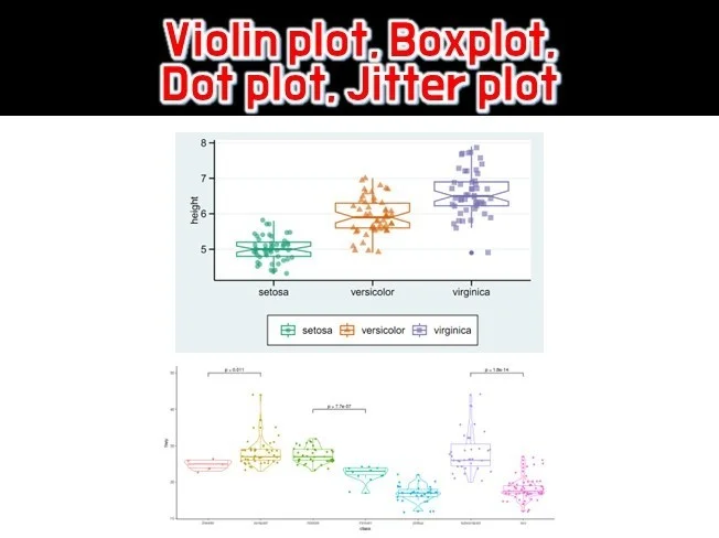 dot, jitter, box, violin plot - 크몽
