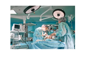 OS Hip Procedure OS Hip Procedure