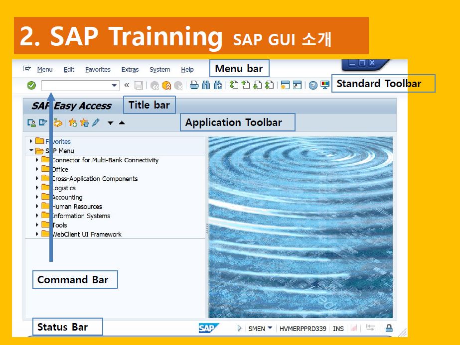SAP 미경험자를 위한 기초 강의 - 크몽