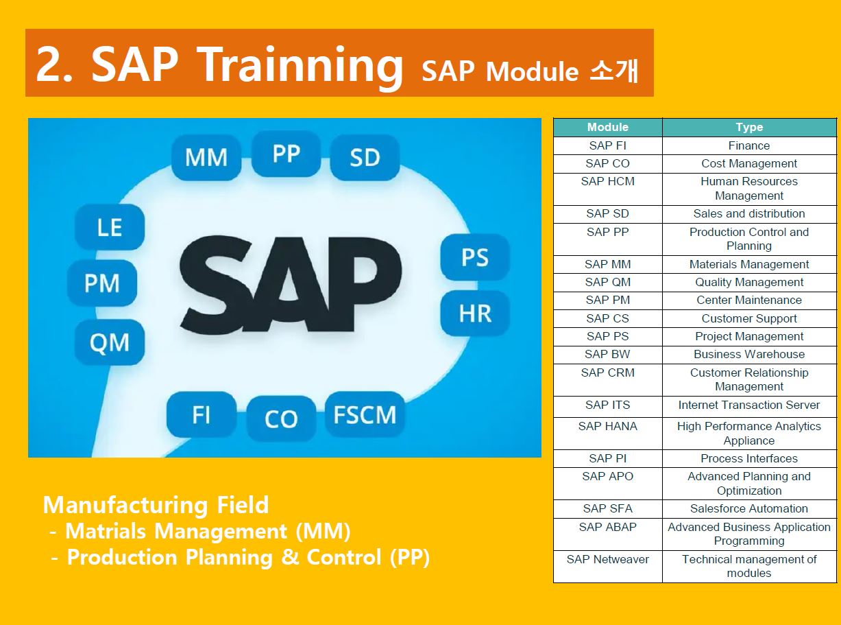 SAP 미경험자를 위한 기초 강의 - 크몽