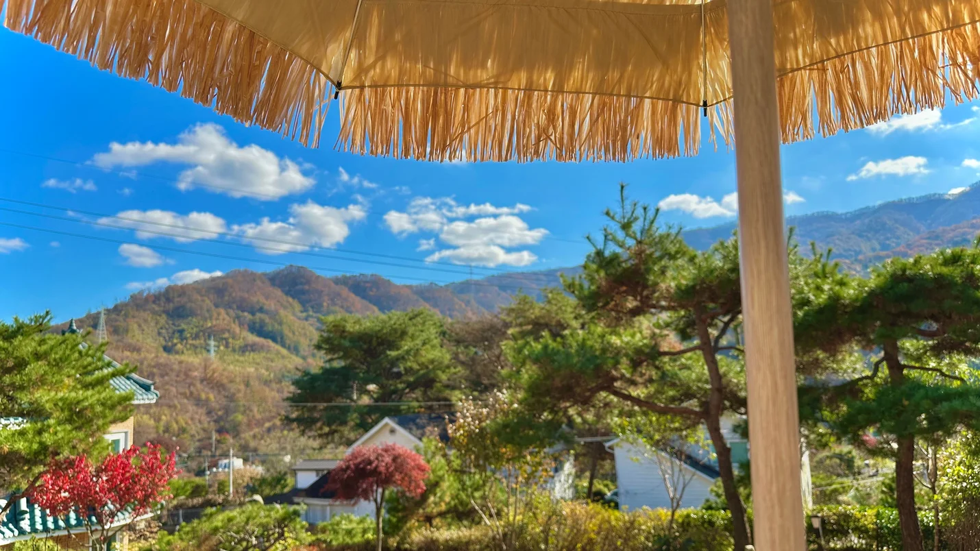 니가 너무 궁금해 타로 MBTI 100전 100승 - 크몽