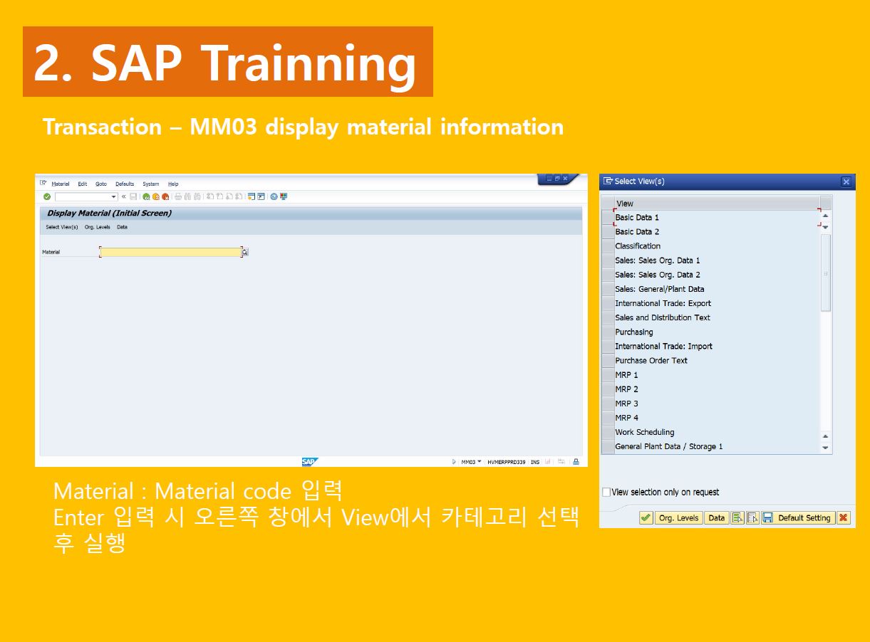 SAP 미경험자를 위한 기초 강의 - 크몽