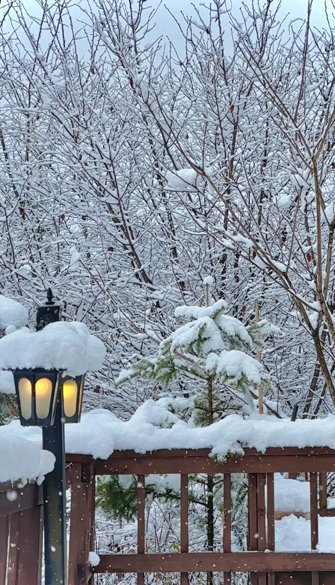 니가 너무 궁금해 타로 MBTI 100전 100승 - 크몽