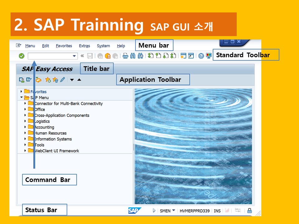 SAP 미경험자를 위한 기초 강의 | 30000원부터 시작 가능한 총 평점 5점의 직무역량, 기타 직무역량 레슨 서비스 ...