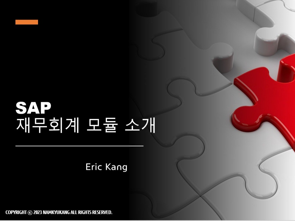 SAP 재무회계 모듈 소개 - 크몽