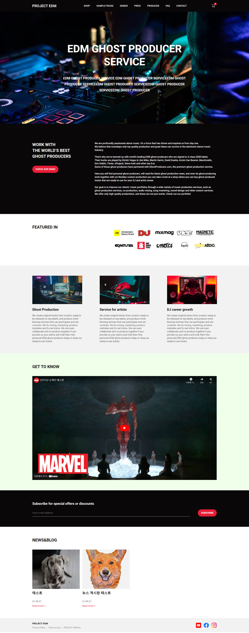 프로젝트 EDM, 홈페이지 포트폴리오 - 크몽