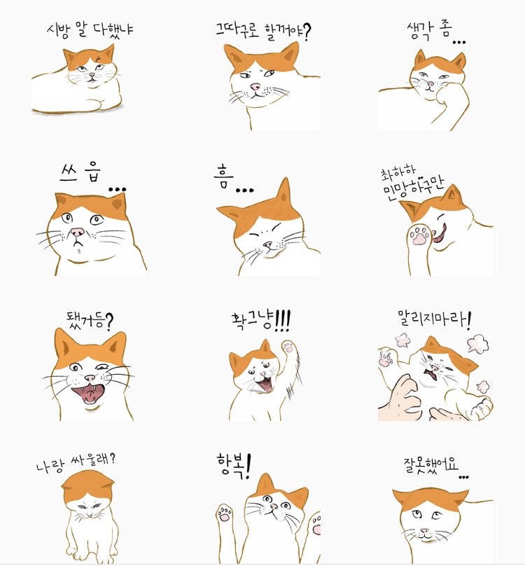 카카* 이모티콘 출시 고양이 표정 일러스트, 이모티콘 포트폴리오 - 크몽