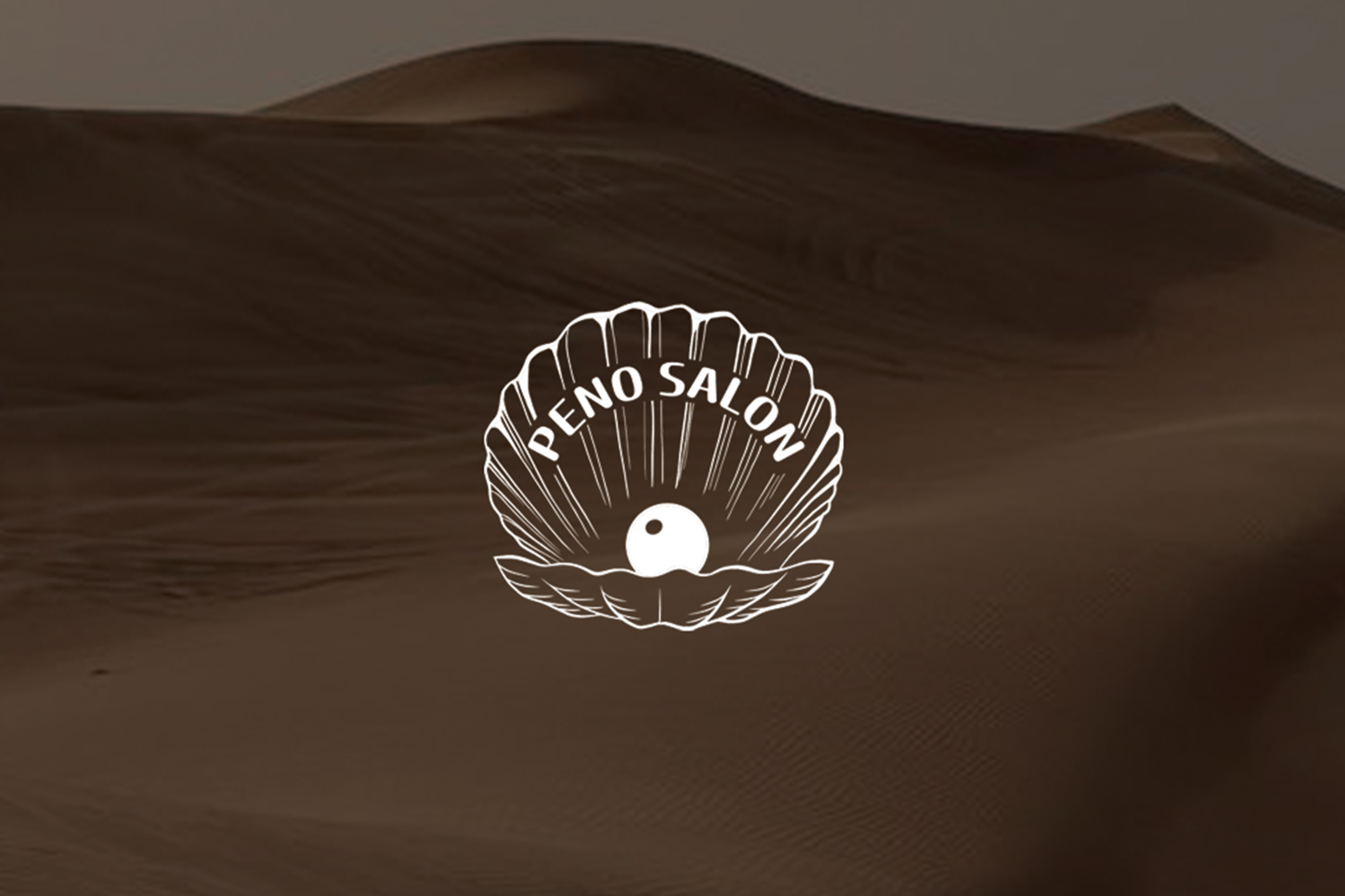 [로고디자인] PENO SALON, 로고 디자인 포트폴리오 - 크몽