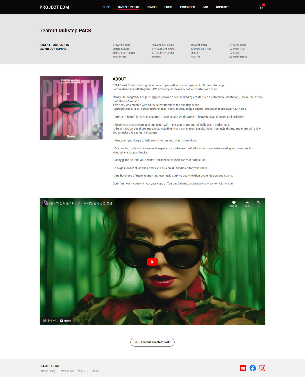 프로젝트 EDM, 홈페이지 포트폴리오 - 크몽