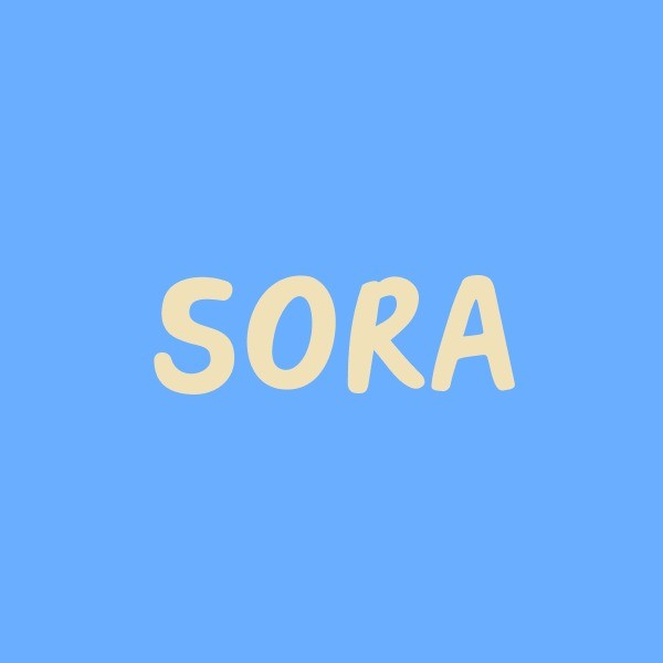 SORA - 함께하는 봉사활동, 앱 포트폴리오 - 크몽