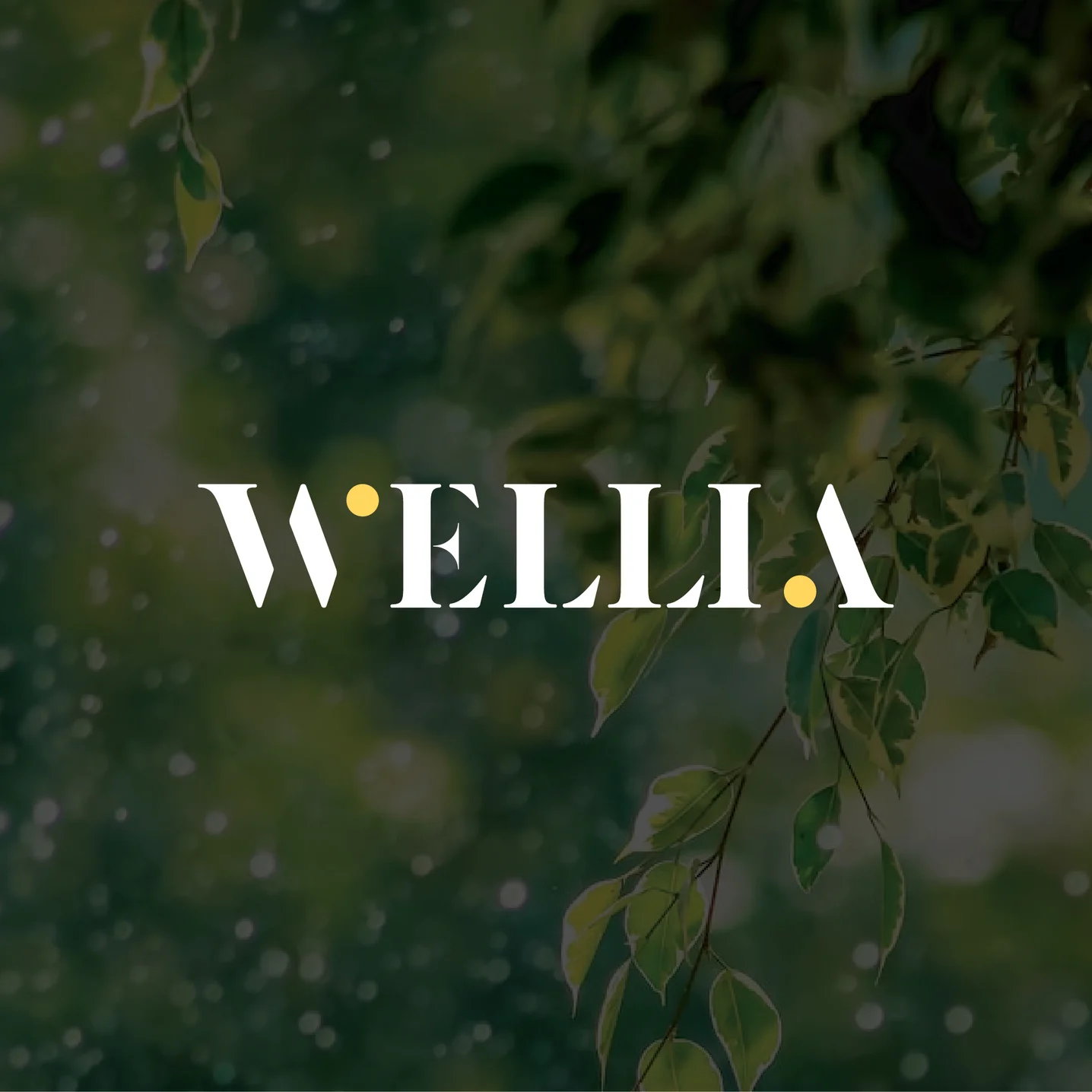 건강기능식품 브랜드 WELLIA, 로고 디자인 포트폴리오 - 크몽