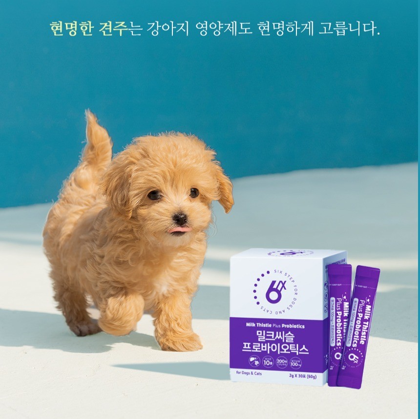 강아지 비타민 상세페이지, 상세페이지 포트폴리오 - 크몽