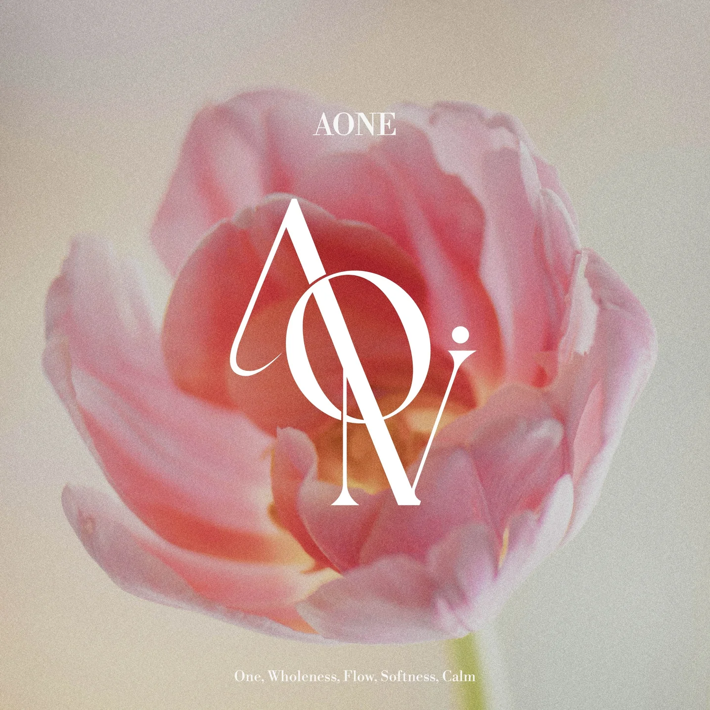 [AONÉ] 심리상담소 로고 제작, 로고 디자인 포트폴리오 - 크몽