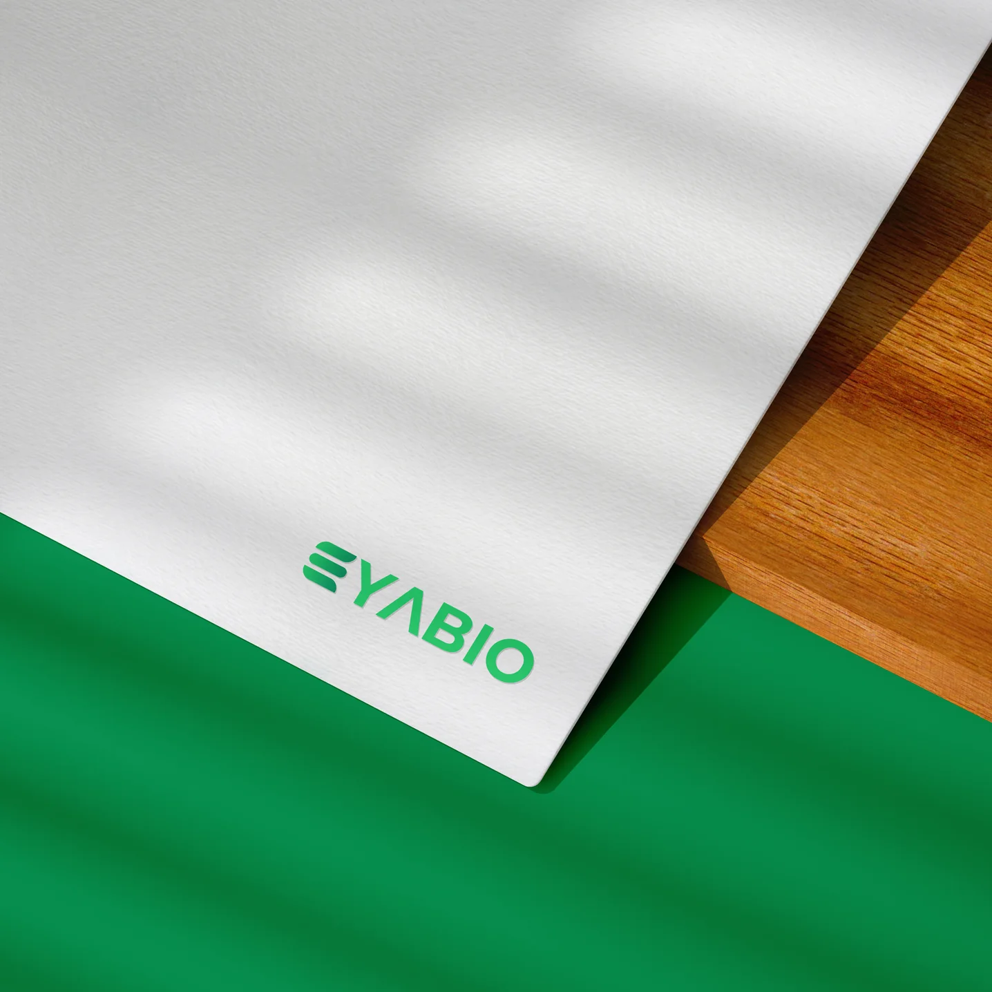 [바이오로고] eyabio 로고, 로고 디자인 포트폴리오 - 크몽