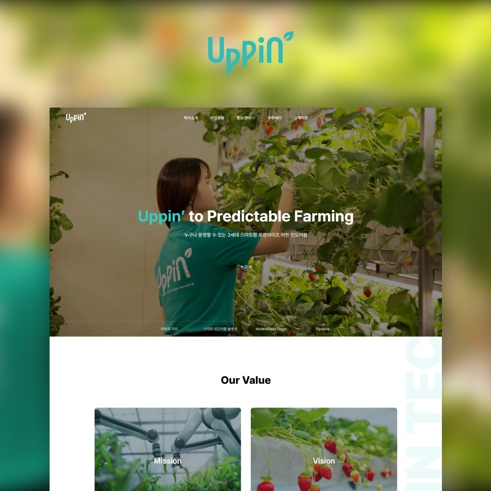 Uppin | 스마트팜 스타트업 홈페이지 신규 제작, 워드프레스 포트폴리오 - 크몽