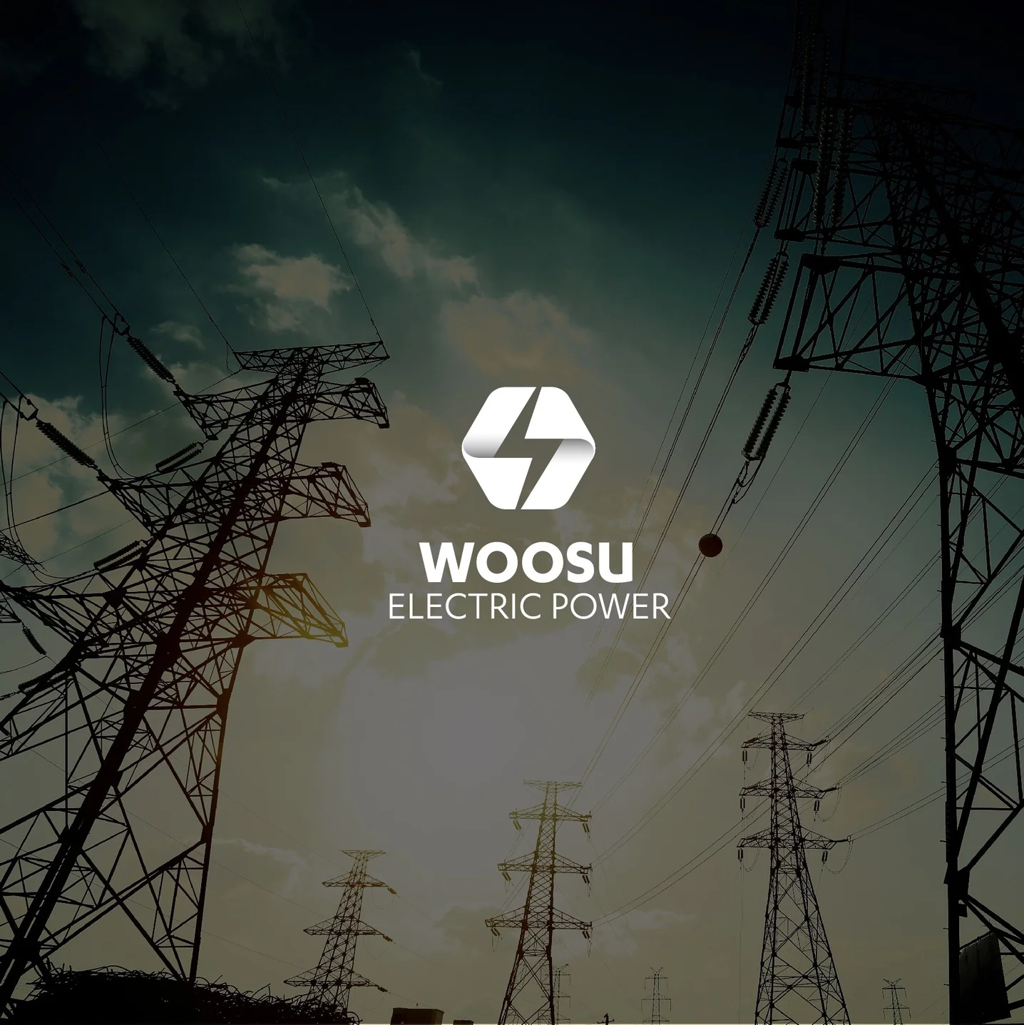 WOOSU EIECTRIC POWER, 전기산업, 로고 디자인 포트폴리오 - 크몽