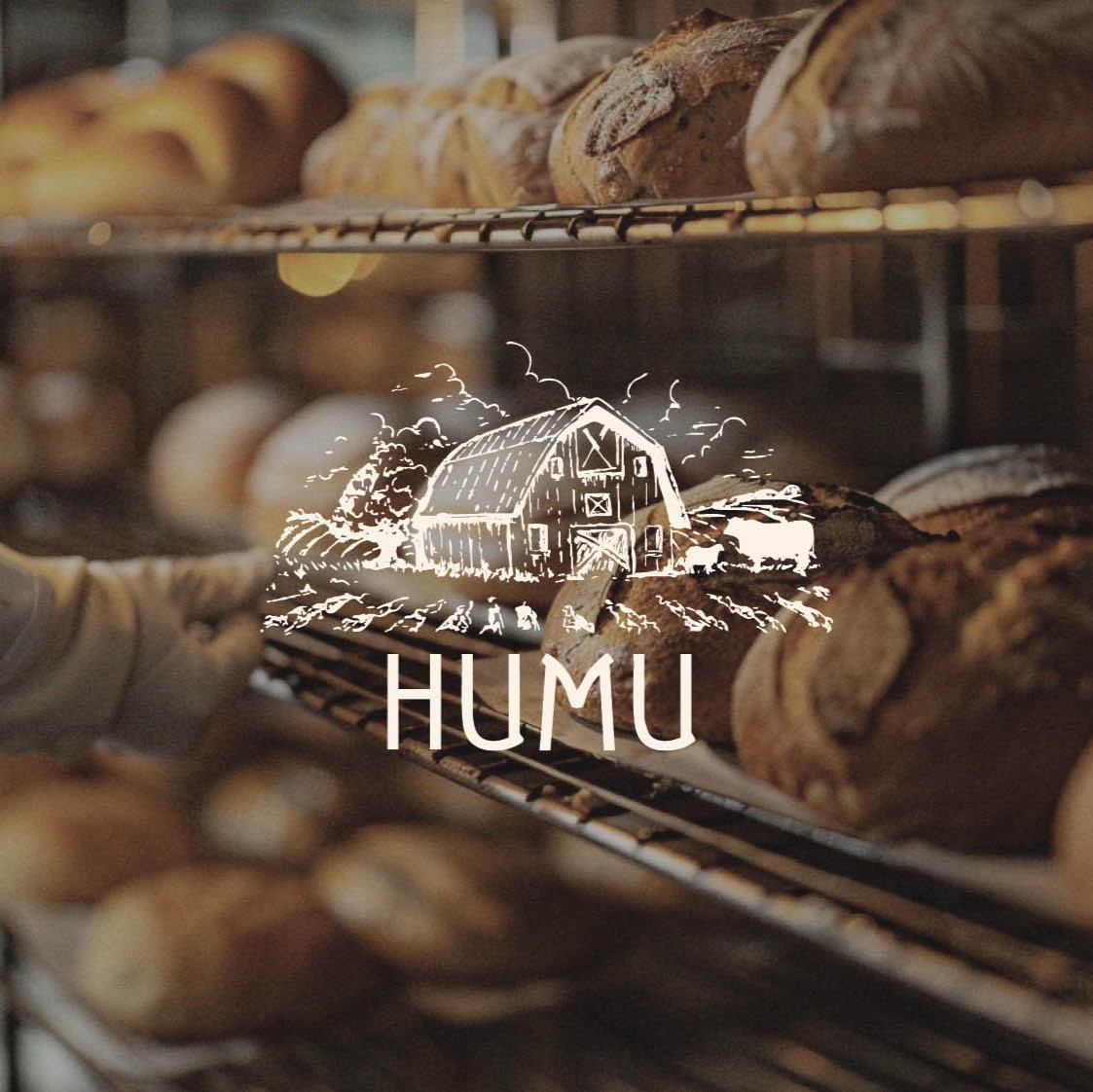 HUMU LOGO, 로고 디자인 포트폴리오 - 크몽
