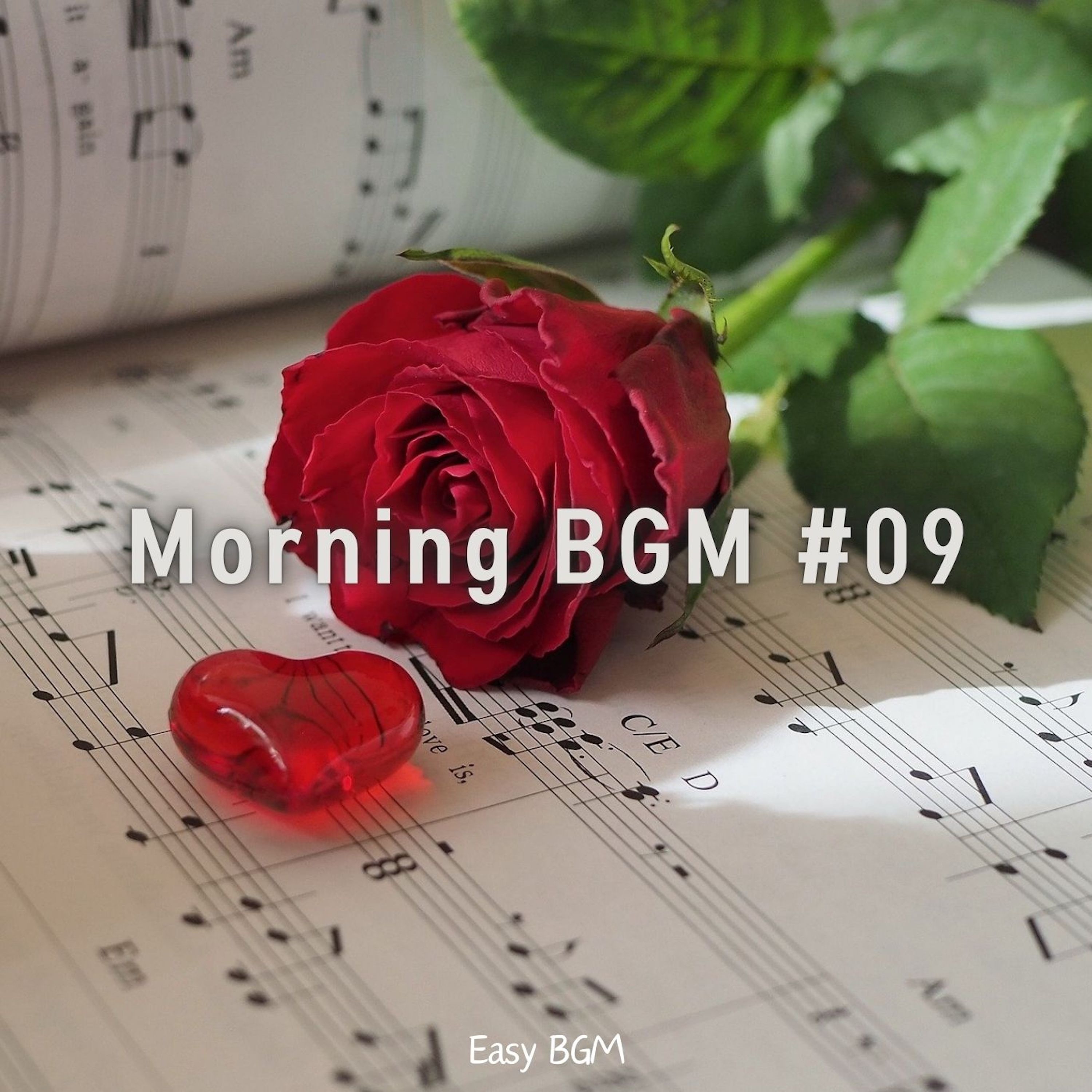 [작편곡/믹싱,마스터링] BGM 아티스트 'Easy BGM' 정규 Playlist #09, 음악·음원 포트폴리오 - 크몽