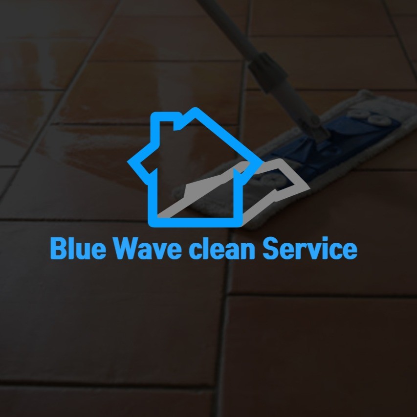 [청소 로고] BLUE WAVE CLEAN, 로고 디자인 포트폴리오 - 크몽