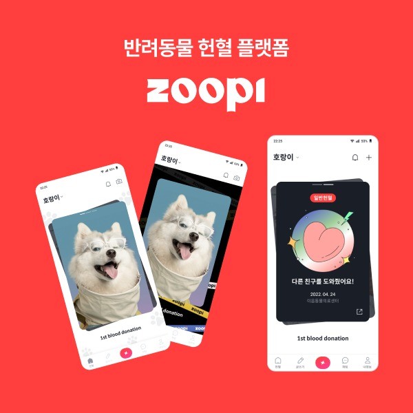 ZOOPI 포트폴리오, 앱·모바일 UI·UX 포트폴리오 - 크몽