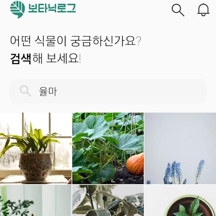 식물 키우기 커뮤니티 앱 앱 포트폴리오 크몽