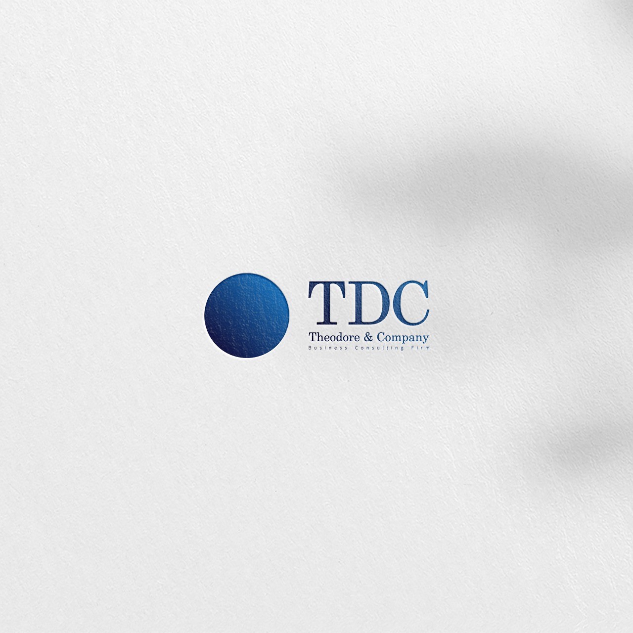 시어도어 컴퍼니(Theodore & Company), 로고 디자인 포트폴리오 - 크몽