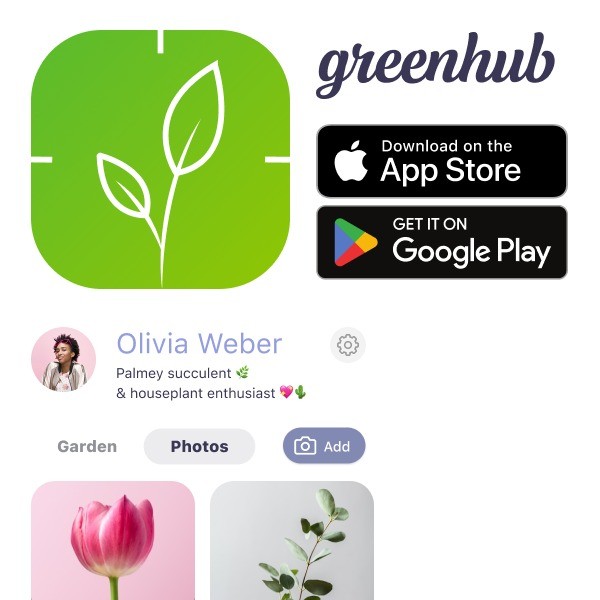 Flutter app Greenhub: Instagram for plants lovers, UI·UX 기획 포트폴리오 - 크몽