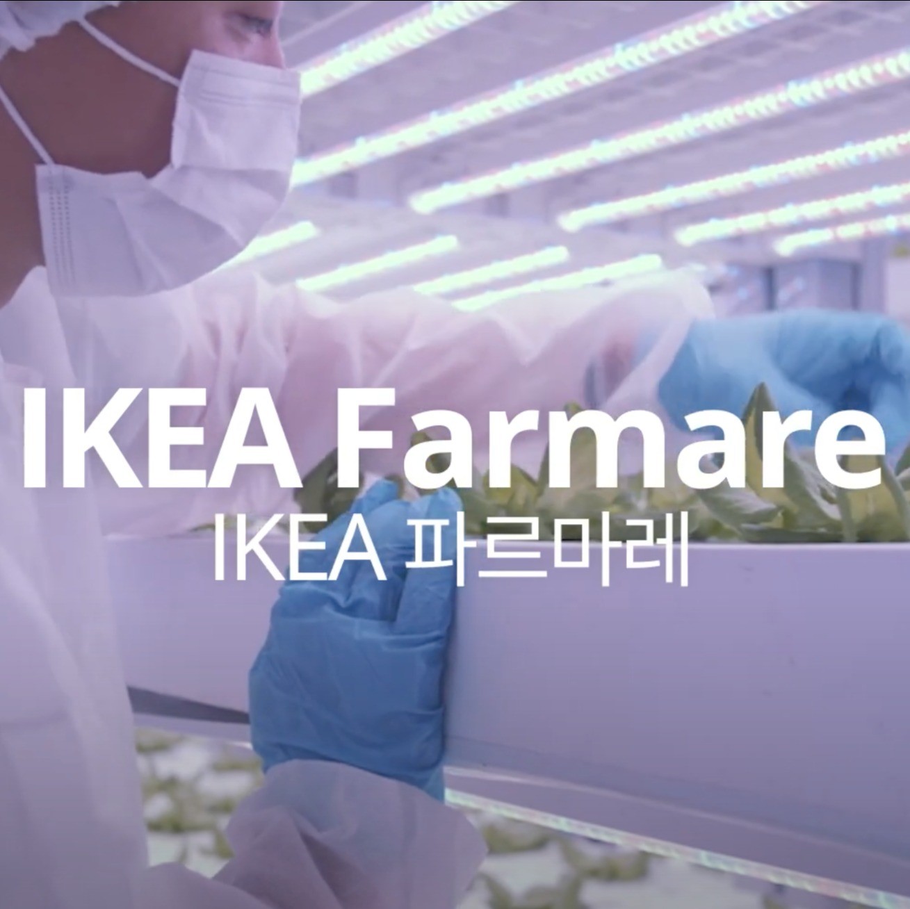 [편집/스탁영상활용] IKEA FARMARE 홍보 영상, 광고·홍보 영상 포트폴리오 - 크몽