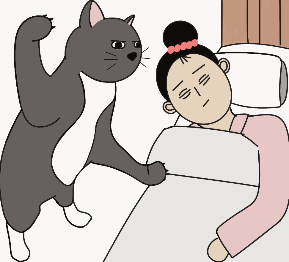 도도한 고냥이 이모티콘 포트폴리오 크몽