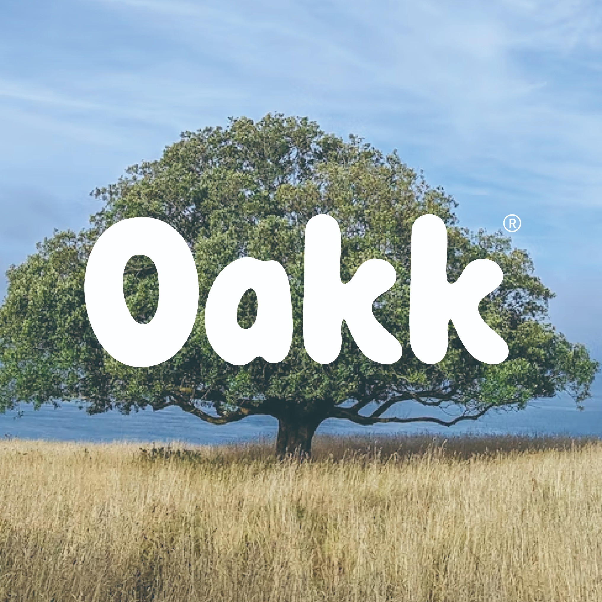 Oakk 로고 브랜딩, 로고 디자인 포트폴리오 - 크몽
