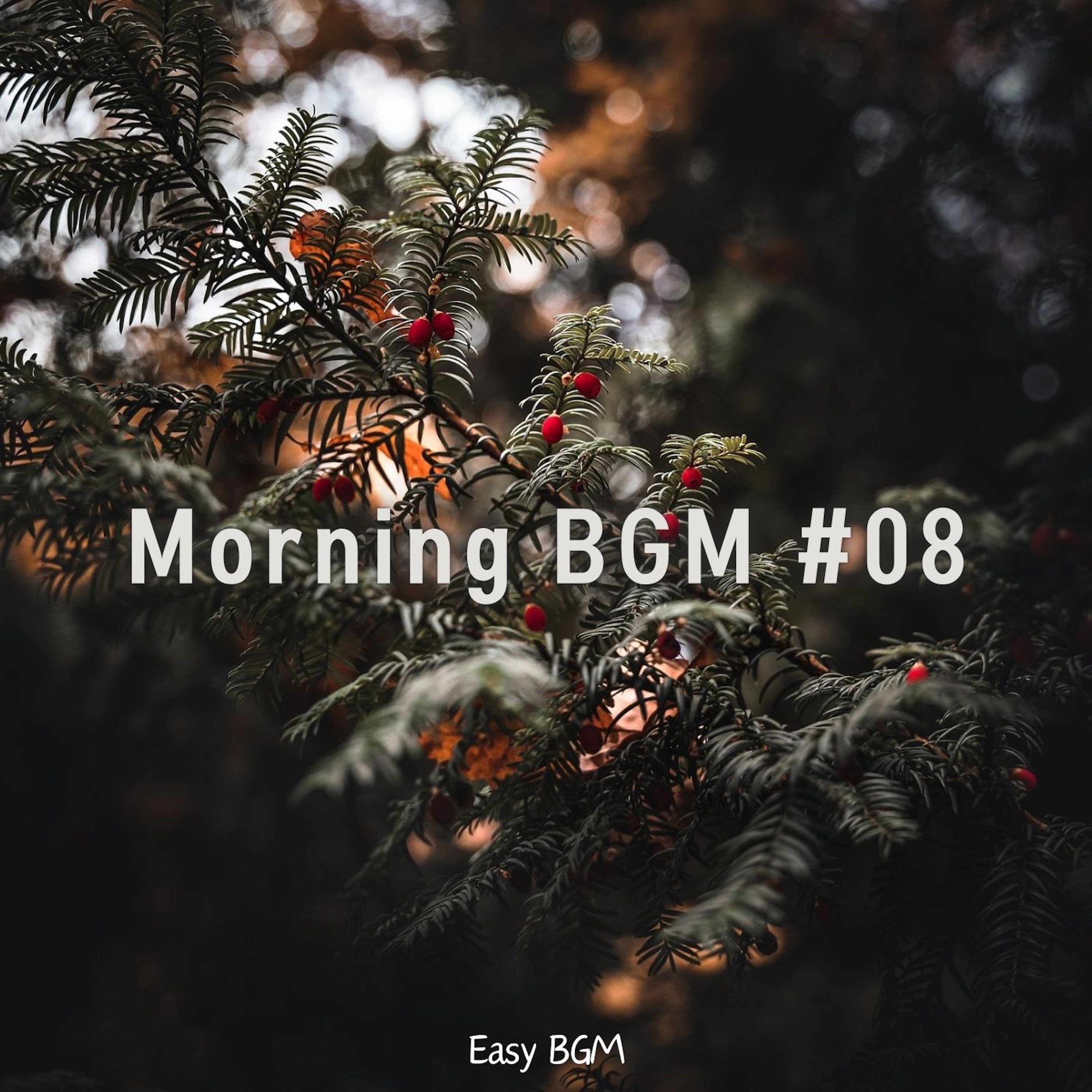 [작편곡/믹싱,마스터링] BGM 아티스트 'Easy BGM' 정규 Playlist #08, 음악·음원 포트폴리오 - 크몽