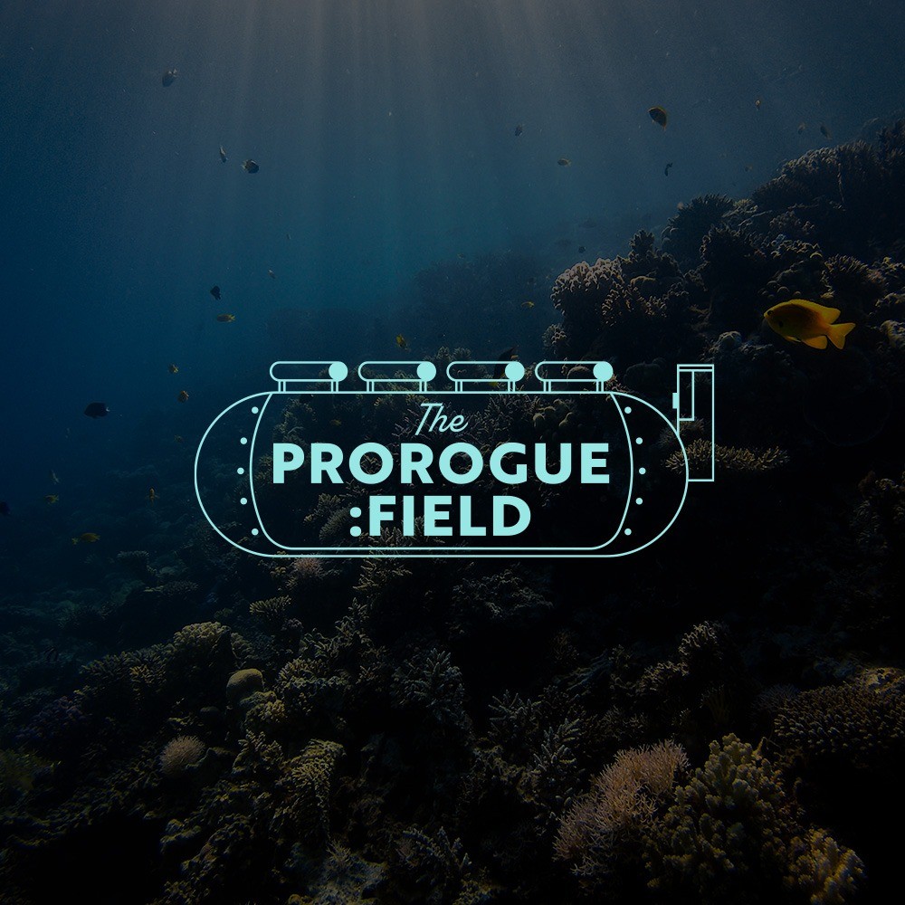 the prorogue:field LOGO DESIGN, 로고 디자인 포트폴리오 - 크몽