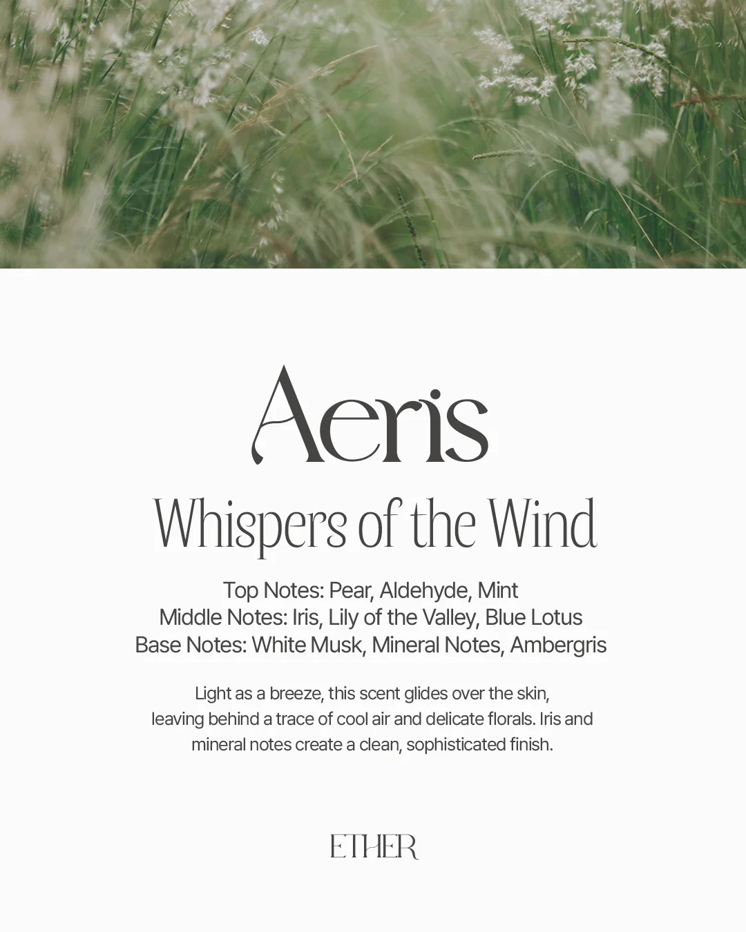 Ether Logo & Packge Design, 패키지 포트폴리오 - 크몽