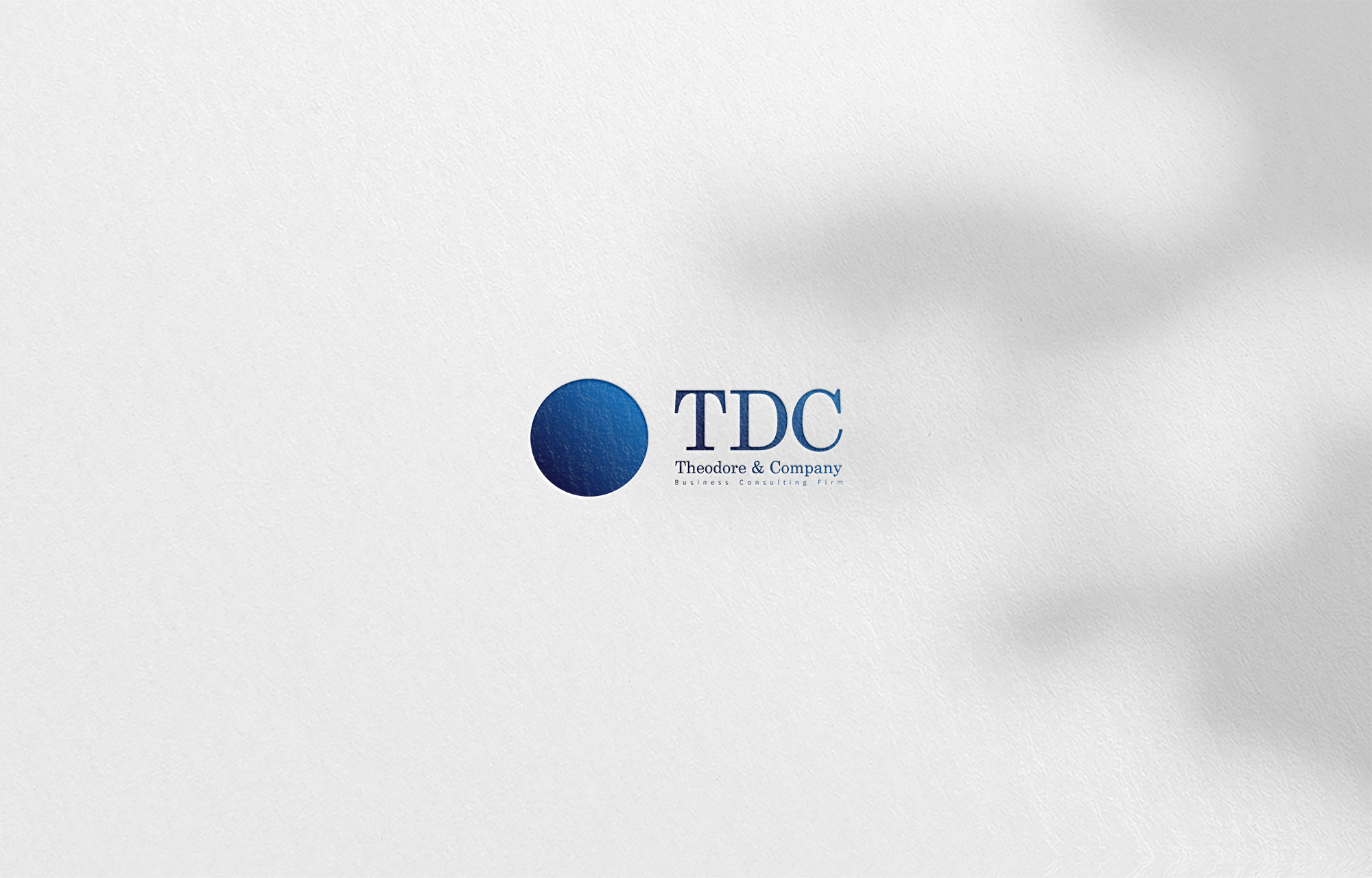 시어도어 컴퍼니(Theodore & Company), 로고 디자인 포트폴리오 - 크몽