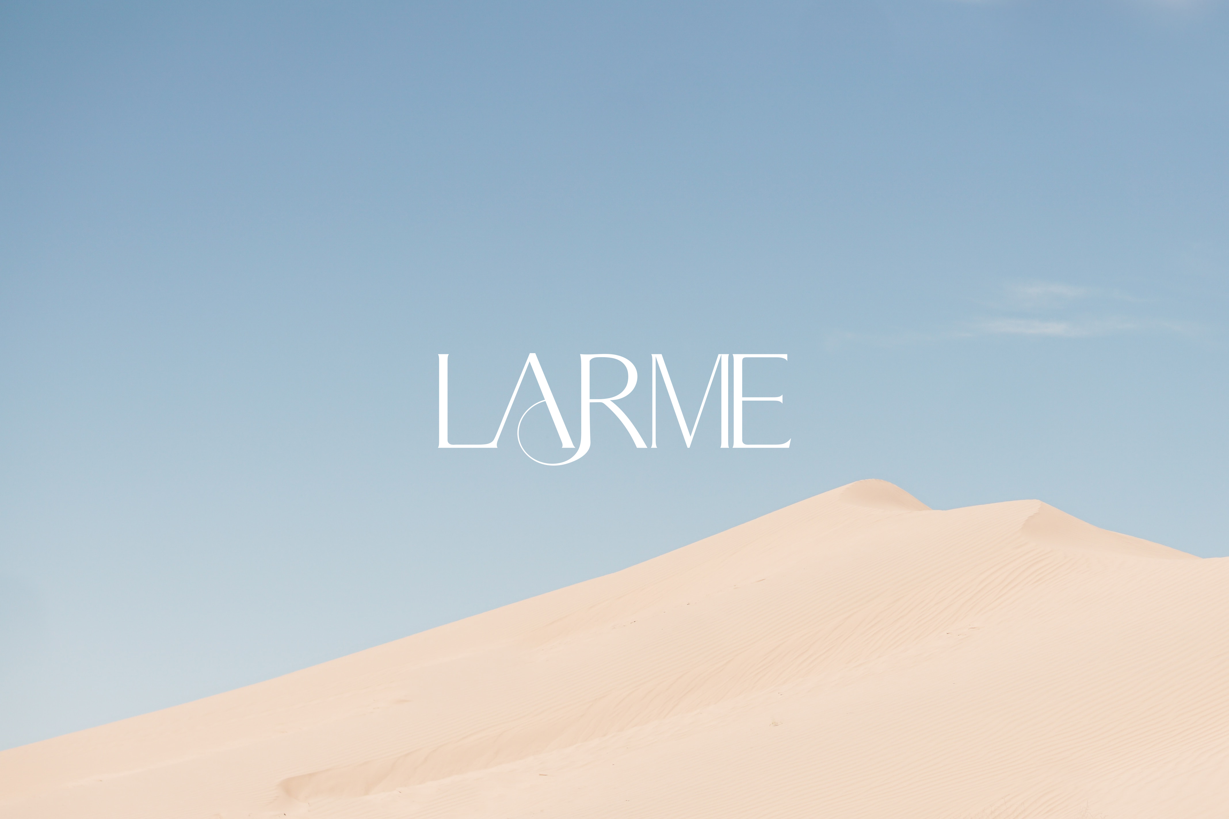 LARME * 의류 쇼핑몰, 로고 디자인 포트폴리오 - 크몽
