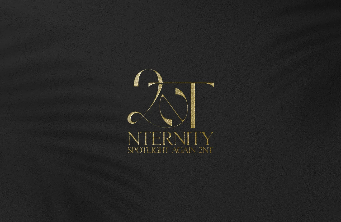 2NT(부제:NTERNITY SPORTLIGHT AGAIN 2NT), 로고 디자인 포트폴리오 - 크몽