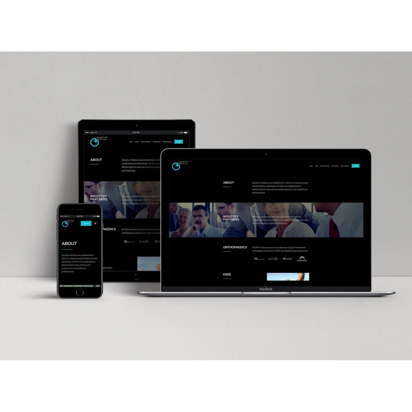 SANATUS MEDICAL, 쇼핑몰 신규 제작 포트폴리오 - 크몽