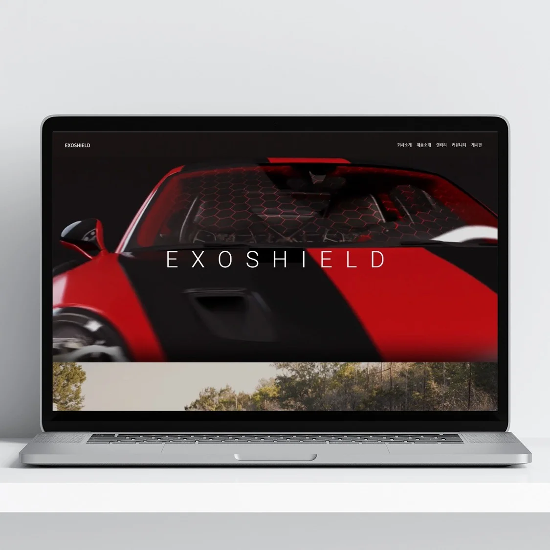 Exoshield Film Sheet, 홈페이지 포트폴리오 - 크몽
