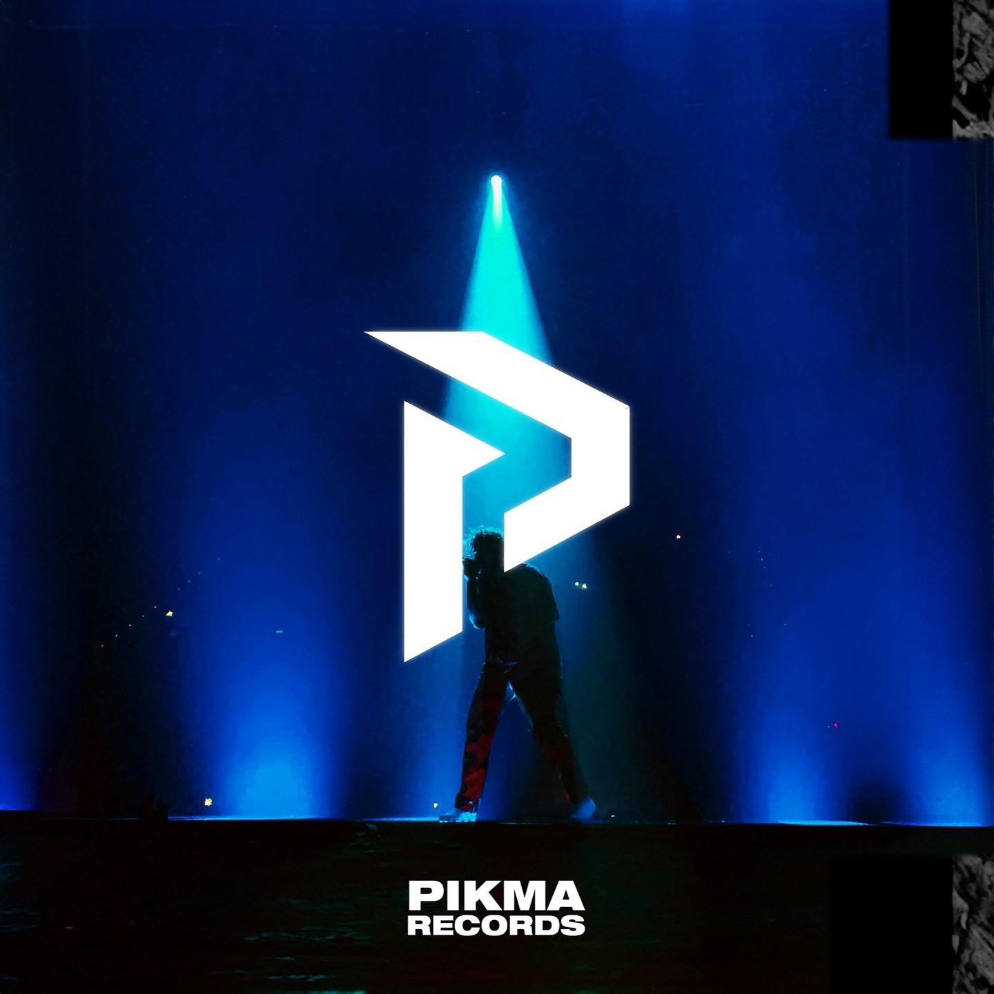 PIKMA RECORDS / 엔터테이먼트, 로고 디자인 포트폴리오 - 크몽
