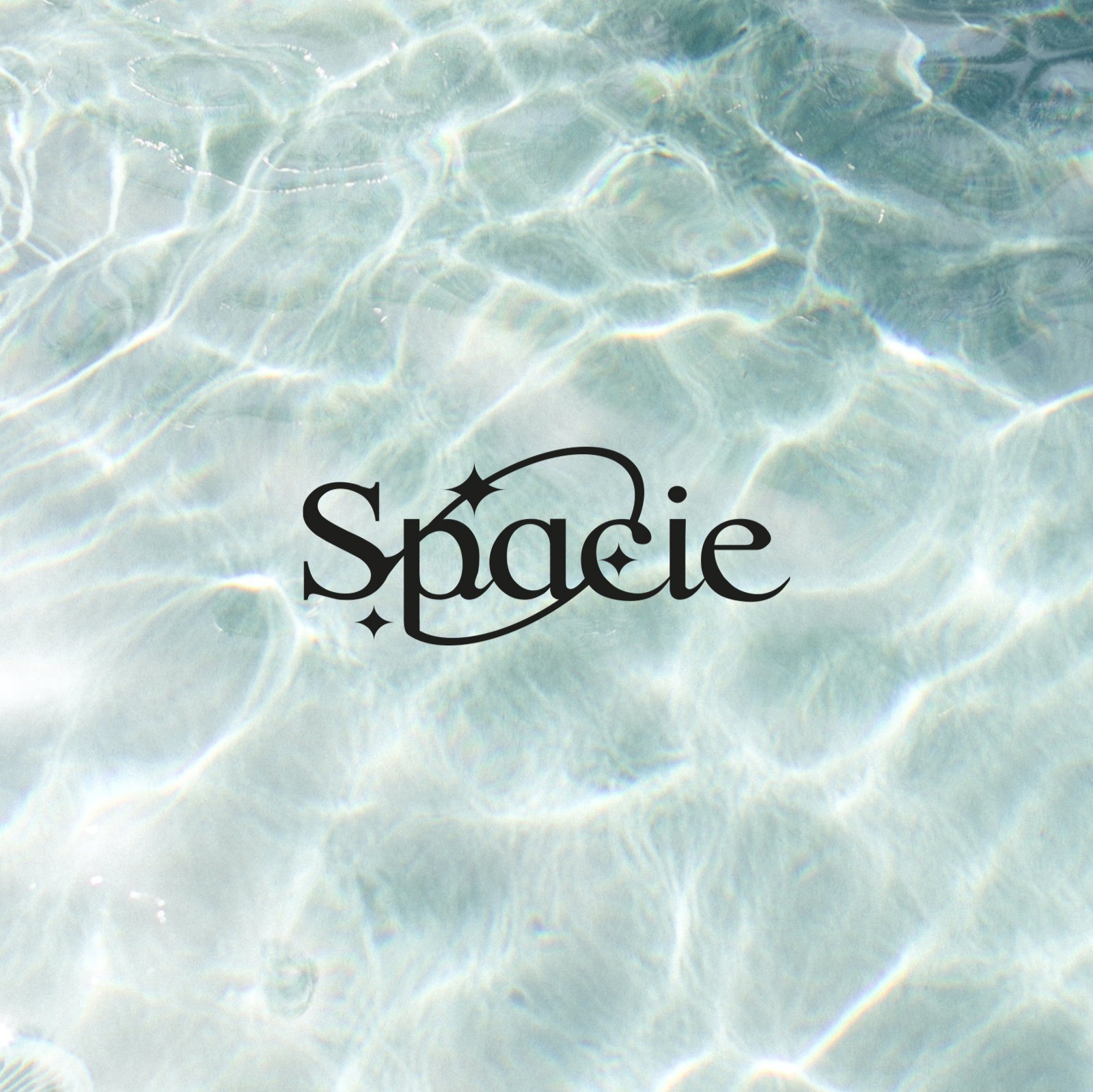 Spacie, 의류쇼핑몰, 로고 디자인 포트폴리오 - 크몽