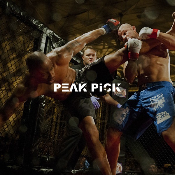 스포츠웨어 브랜드_PEAK PICK, 로고 디자인 포트폴리오 - 크몽