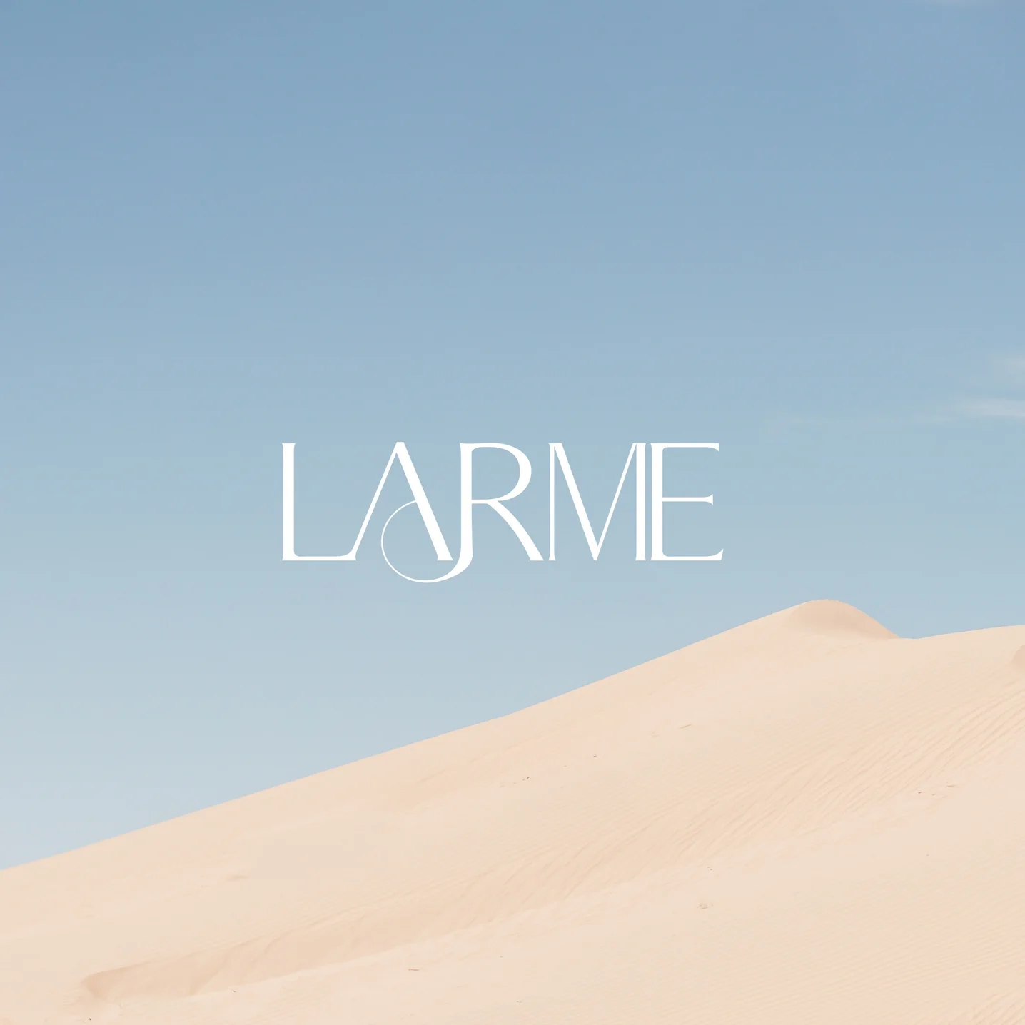 LARME * 의류 쇼핑몰, 로고 디자인 포트폴리오 - 크몽