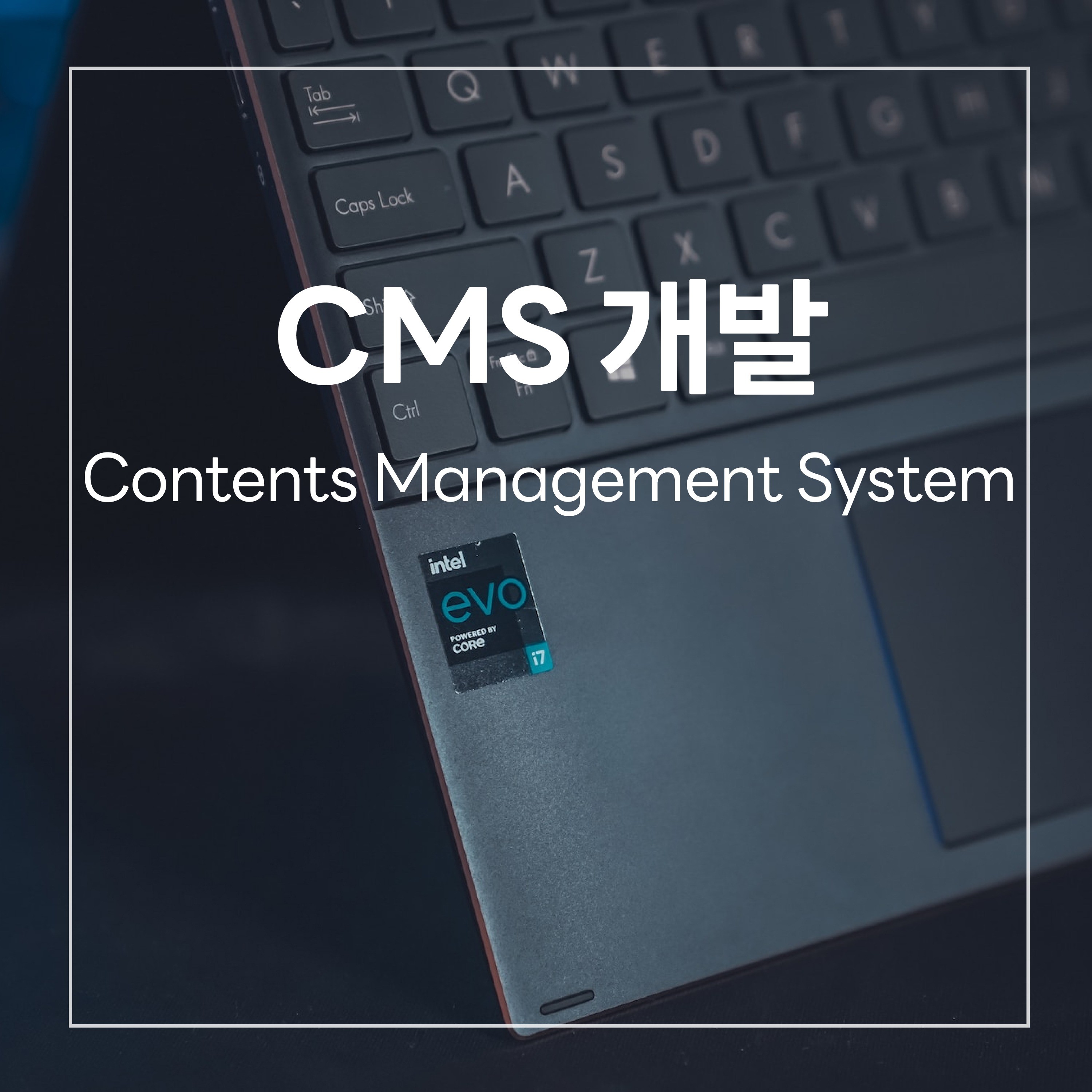 자체 CMS 개발, PC·웹 프로그램 포트폴리오 - 크몽