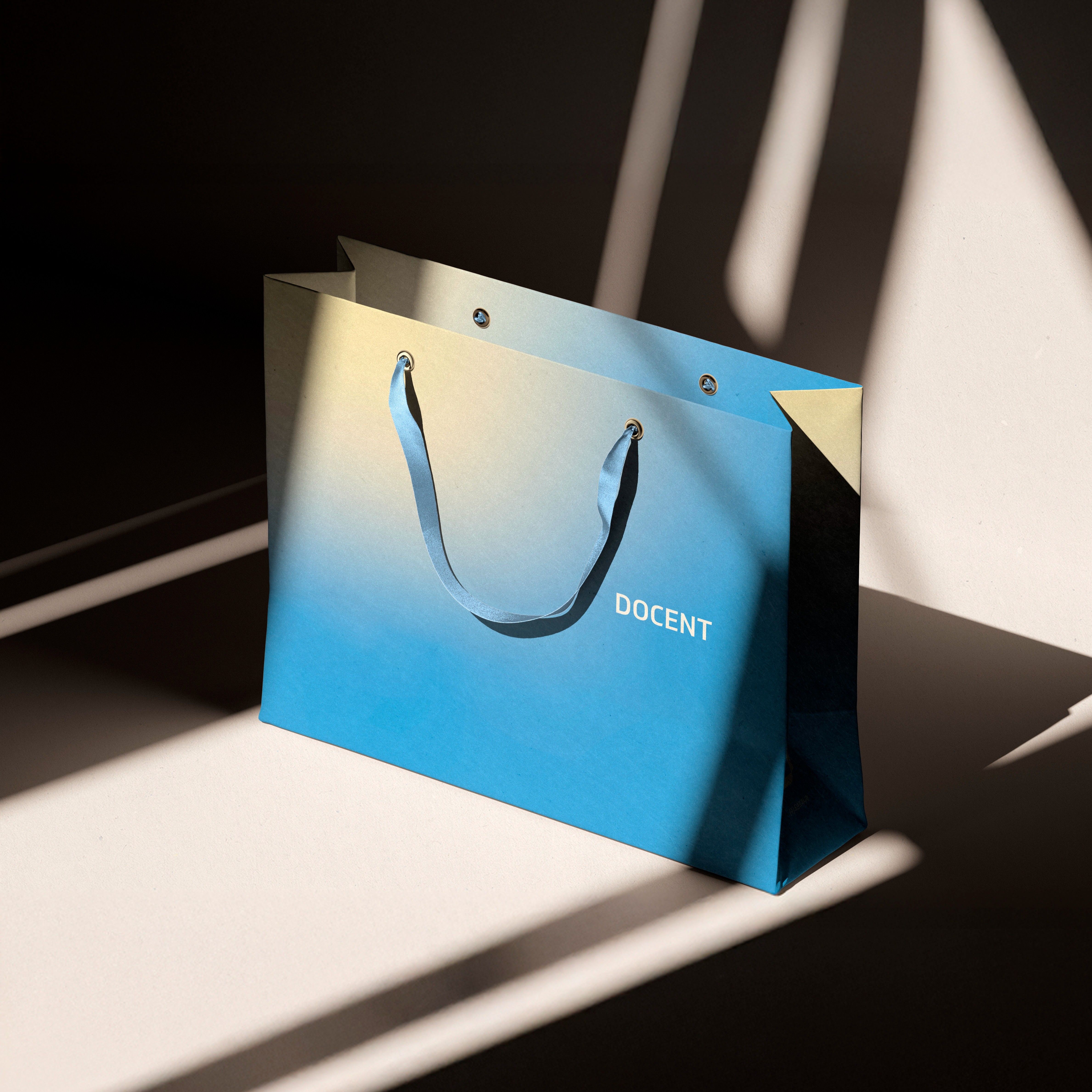 DOCENT Shopping Bag, 패키지 포트폴리오 - 크몽