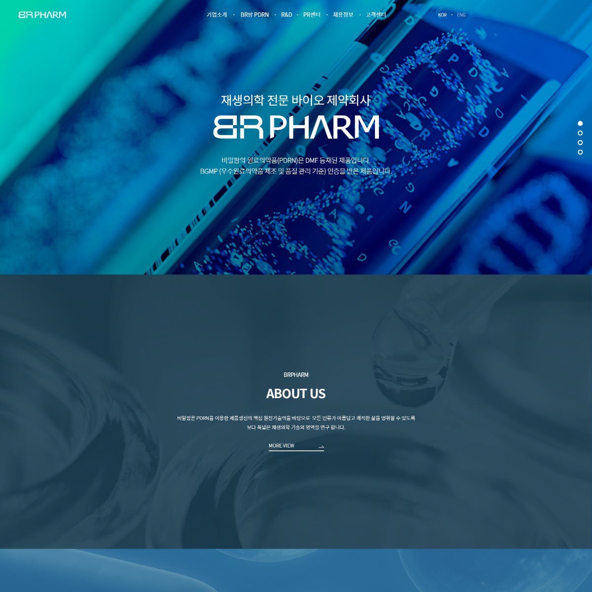 비알팜 BR PHARM 다국어 홈페이지, 홈페이지 신규 제작 포트폴리오 - 크몽