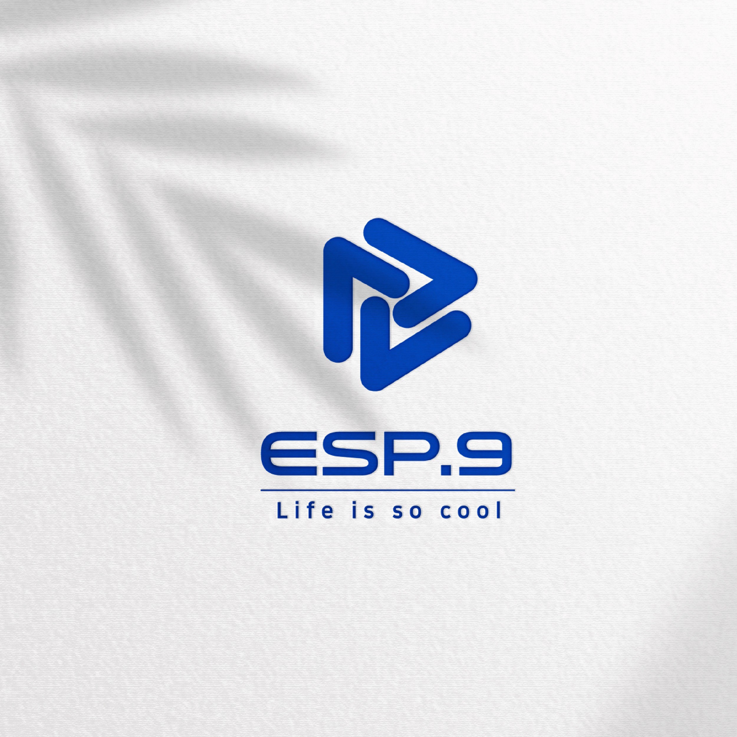 ESP.9 브랜드 디자인, 로고 디자인 포트폴리오 - 크몽